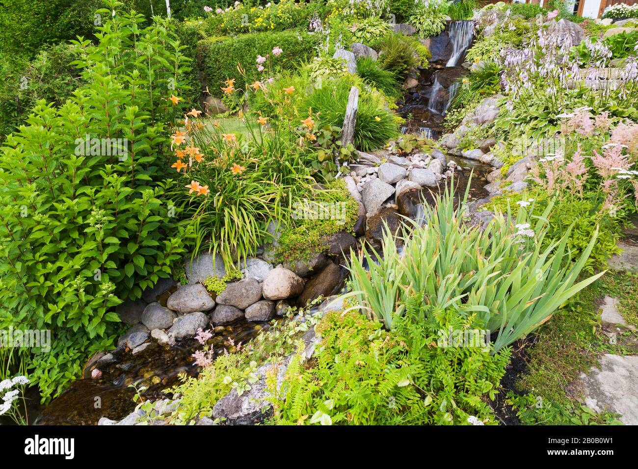 Cascading waterfall and rock edged stream bordered by Iris, pink ...