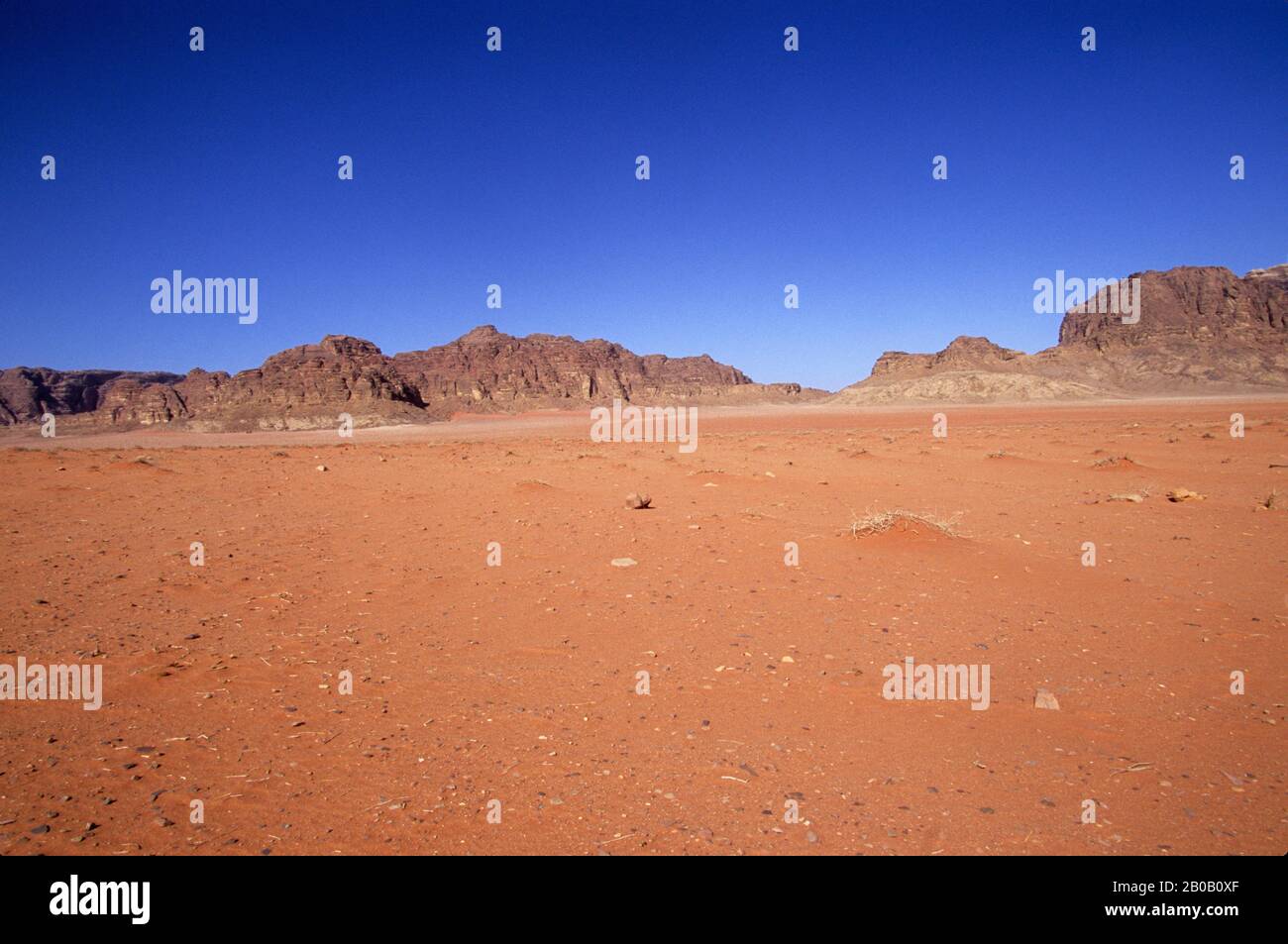 Lawrence spring wadi rum hi-res stock photography and images - Alamy