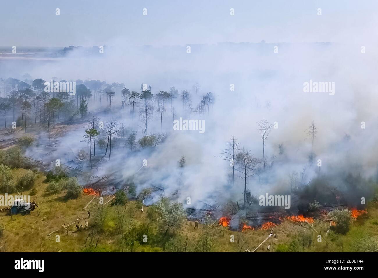 Forest fire, smoke of the surrounding area. smoke and fire Stock Photo ...