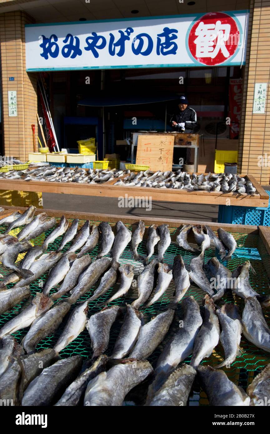 JAPAN, HOKKAIDO ISLAND, NEAR LAKE MASHU, FISH DRYING IN SMALL VILLAGE ...