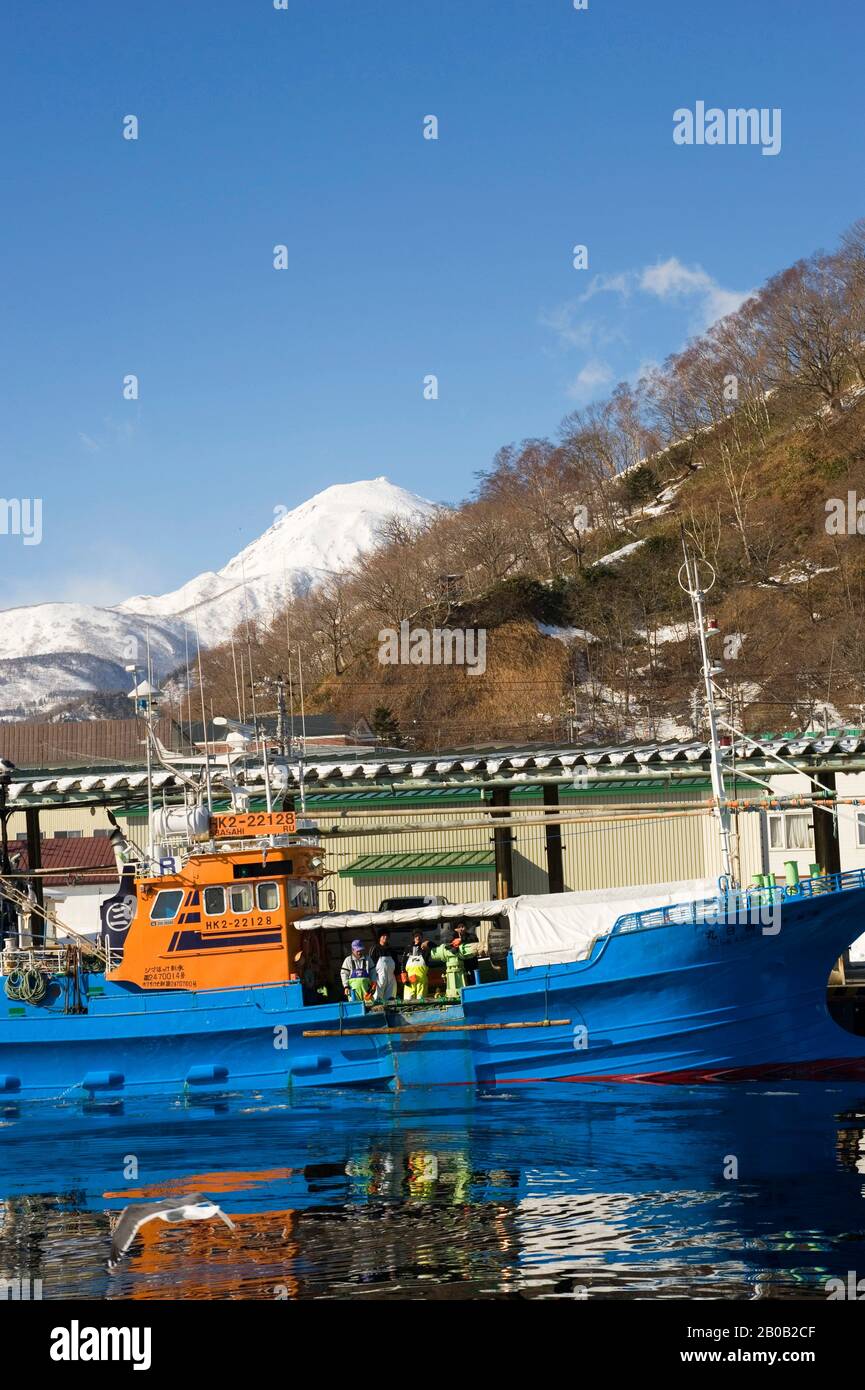 JAPAN, HOKKAIDO ISLAND, RAUSU, FISHING PORT WITH FISHING BOATS, MT ...