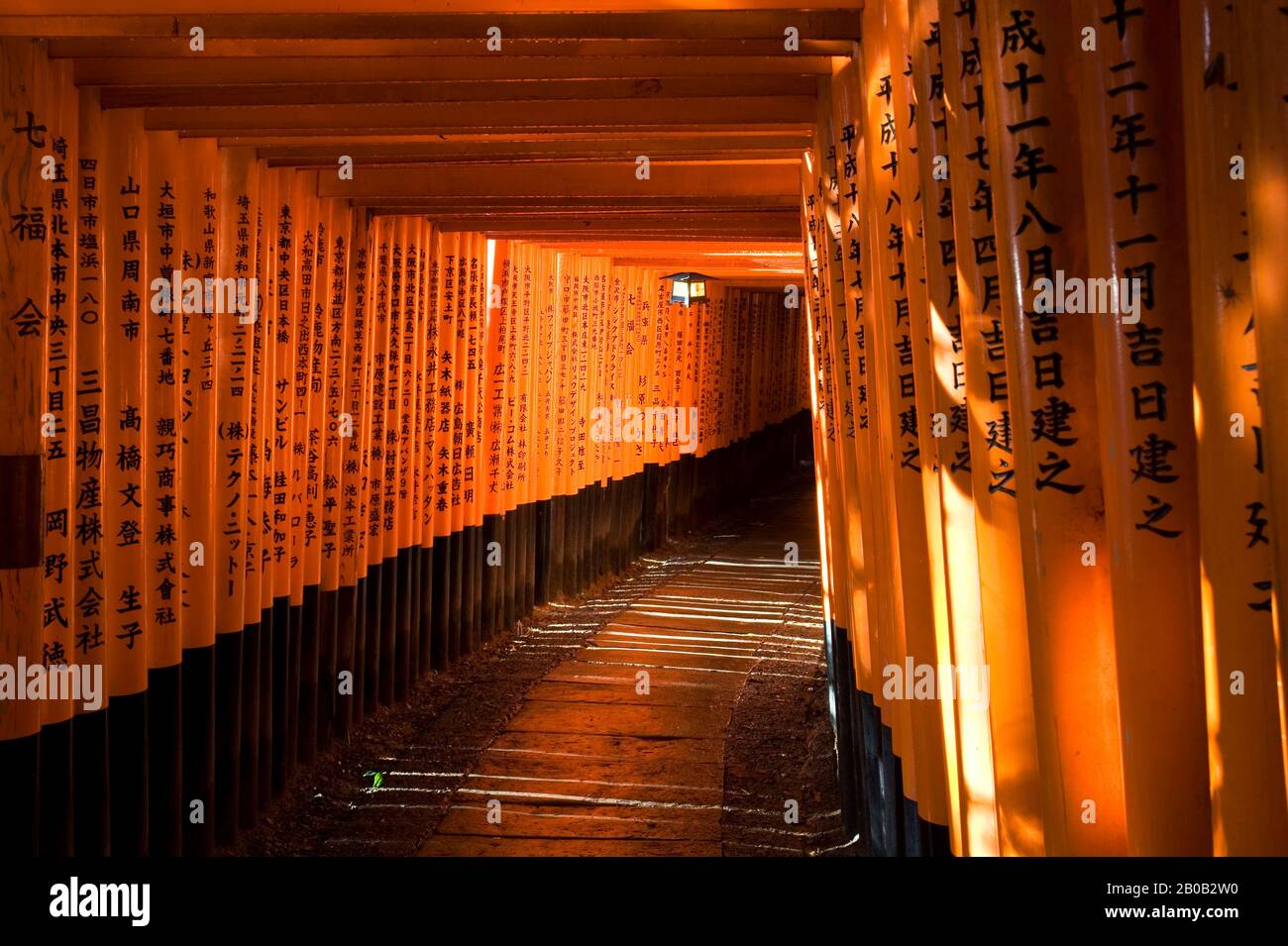 JAPAN, KYOTO, FUSHIMI INARI SHRINE (SHINTO SHRINE), TORII GATES ...