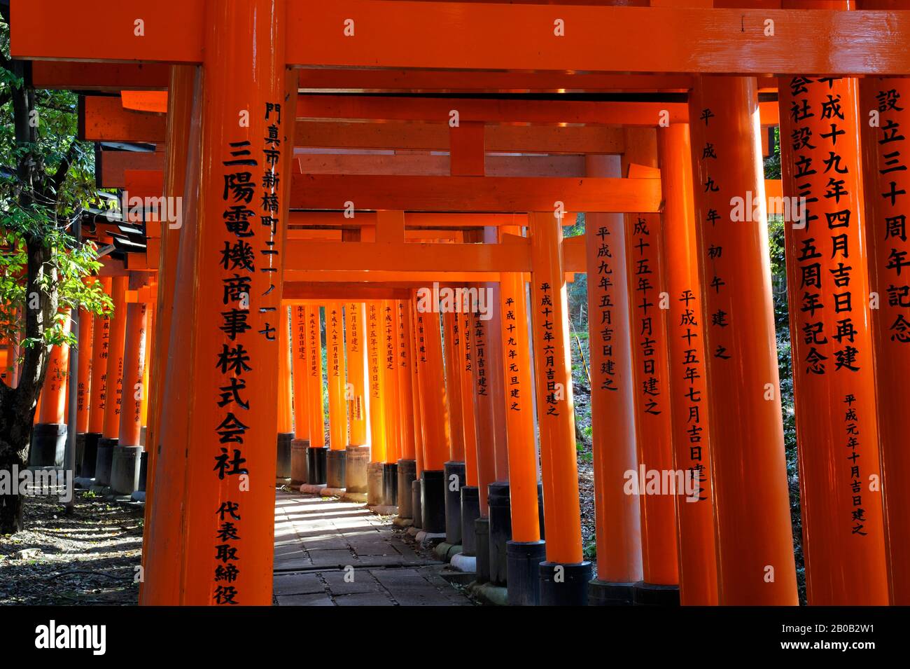 JAPAN, KYOTO, FUSHIMI INARI SHRINE (SHINTO SHRINE), TORII GATES ...