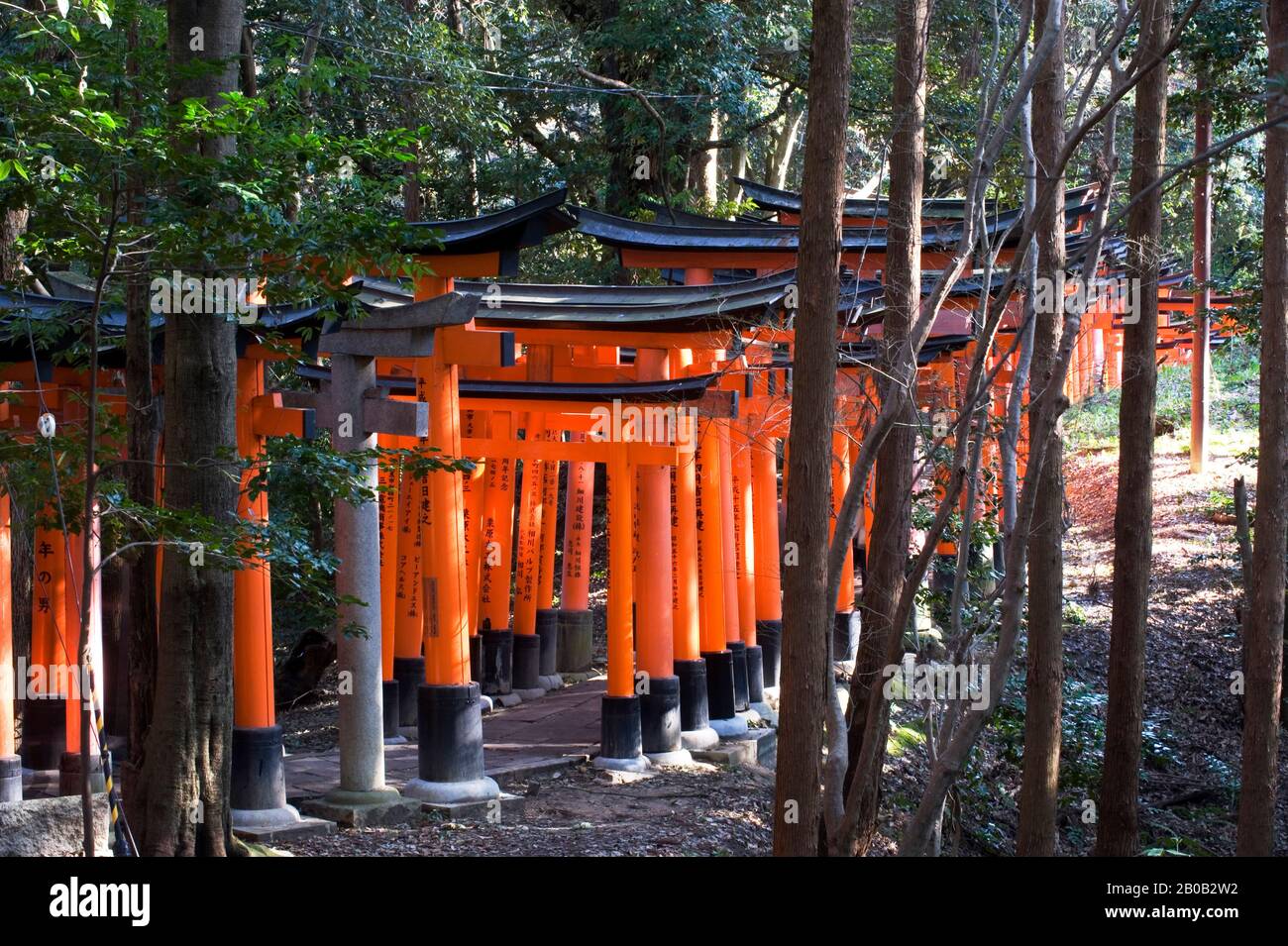JAPAN, KYOTO, FUSHIMI INARI SHRINE (SHINTO SHRINE), TORII GATES ...
