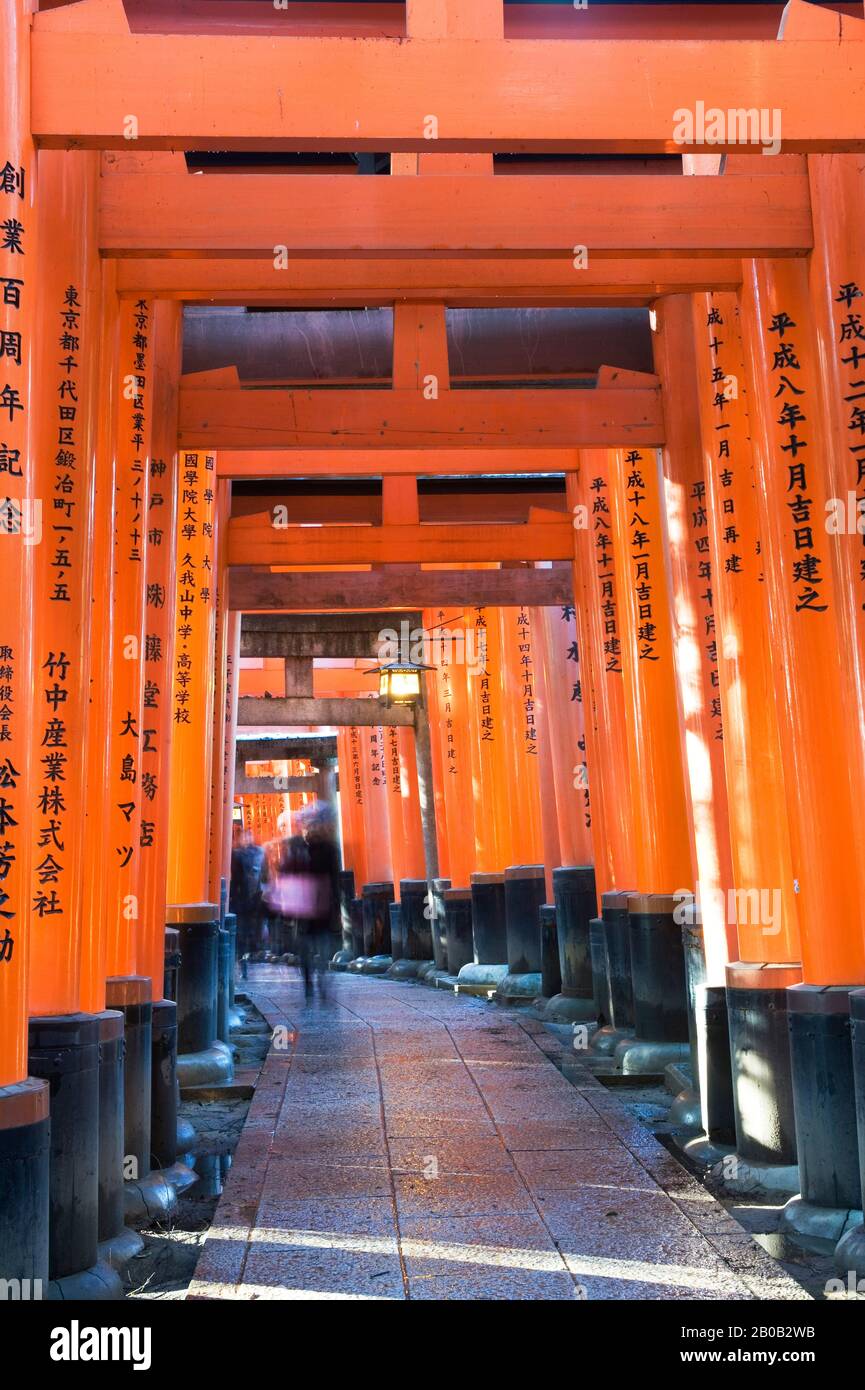 JAPAN, KYOTO, FUSHIMI INARI SHRINE (SHINTO SHRINE), TORII GATES ...