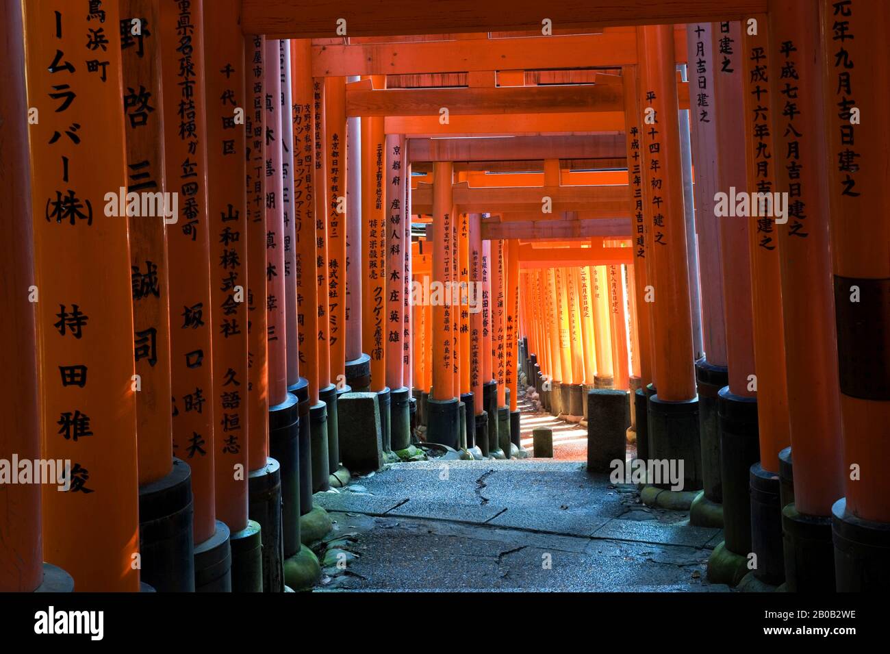 JAPAN, KYOTO, FUSHIMI INARI SHRINE (SHINTO SHRINE), TORII GATES ...