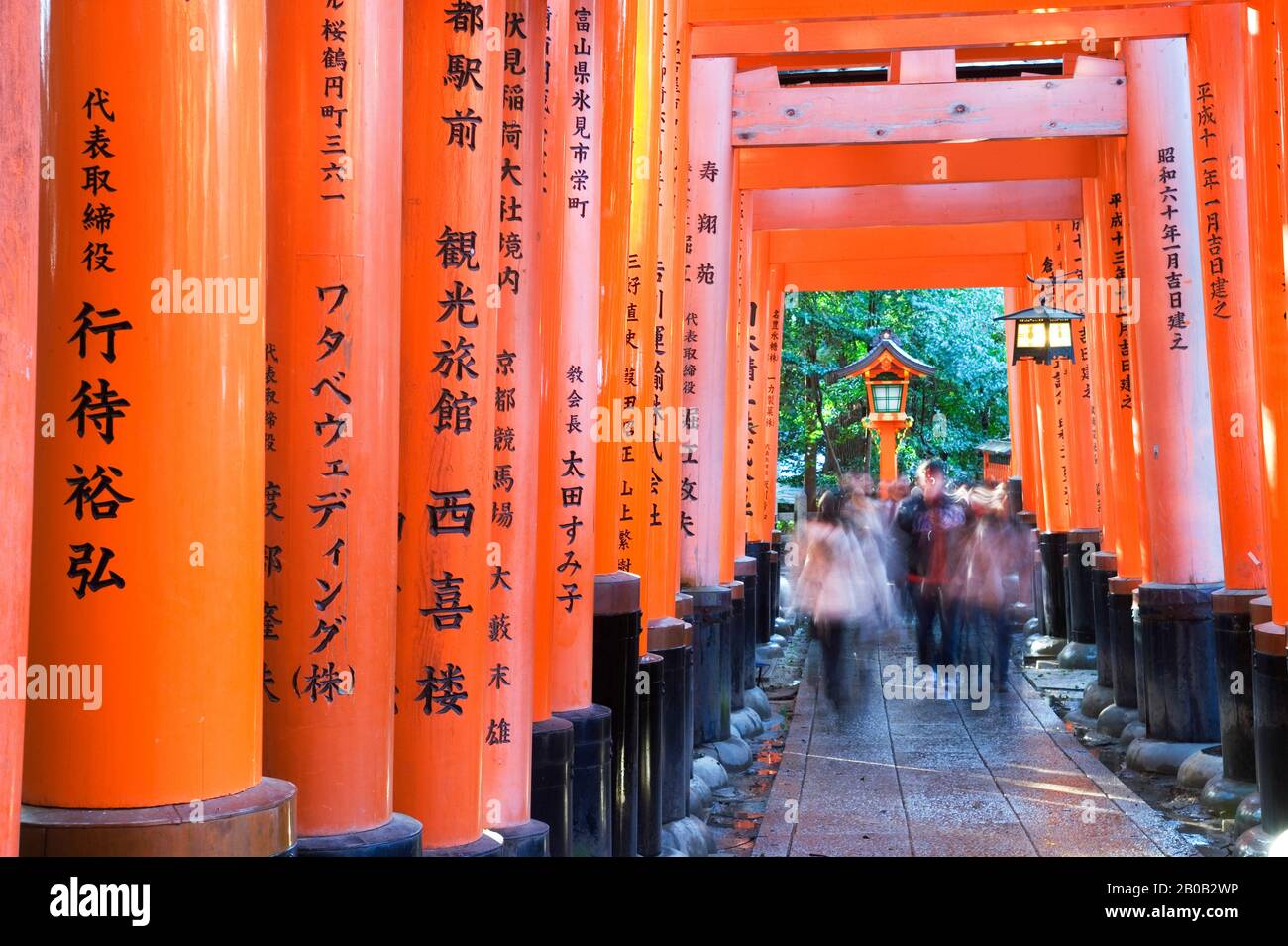 JAPAN, KYOTO, FUSHIMI INARI SHRINE (SHINTO SHRINE), TORII GATES ...