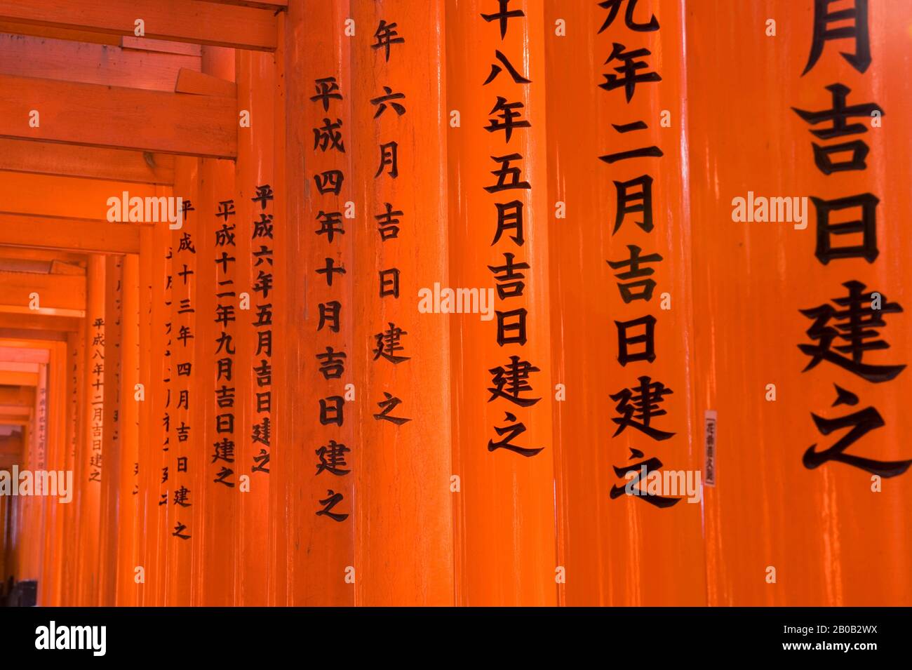 JAPAN, KYOTO, FUSHIMI INARI SHRINE (SHINTO SHRINE), TORII GATES ...