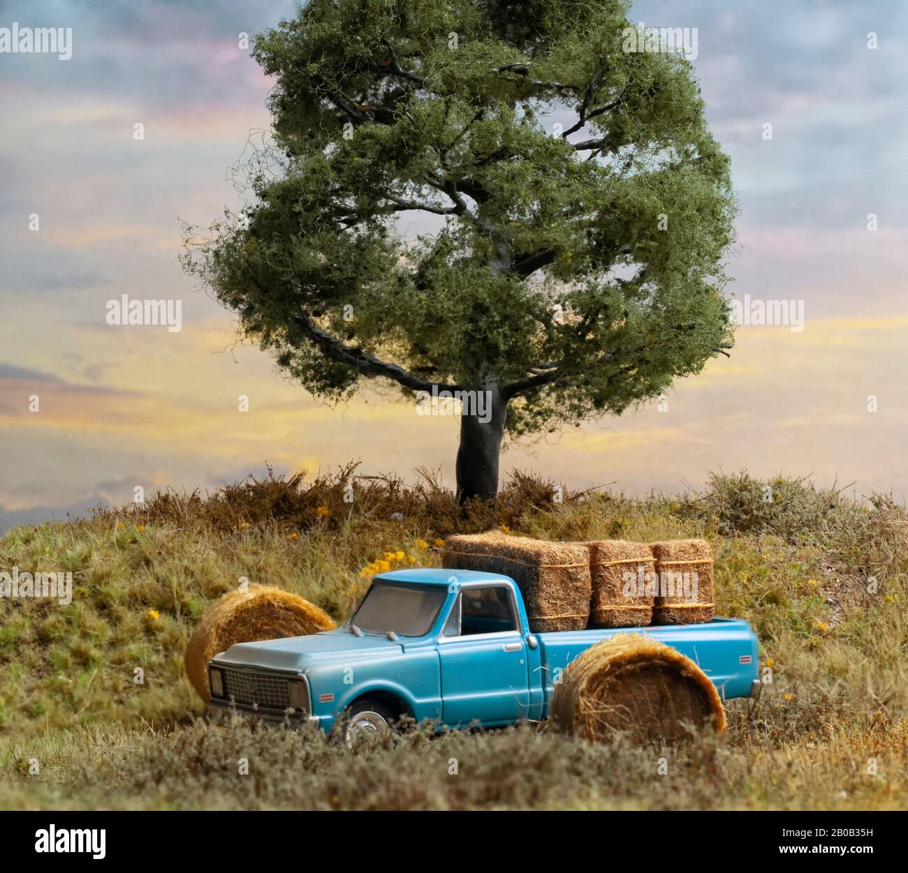 Truck under tree hi-res stock photography and images - Alamy