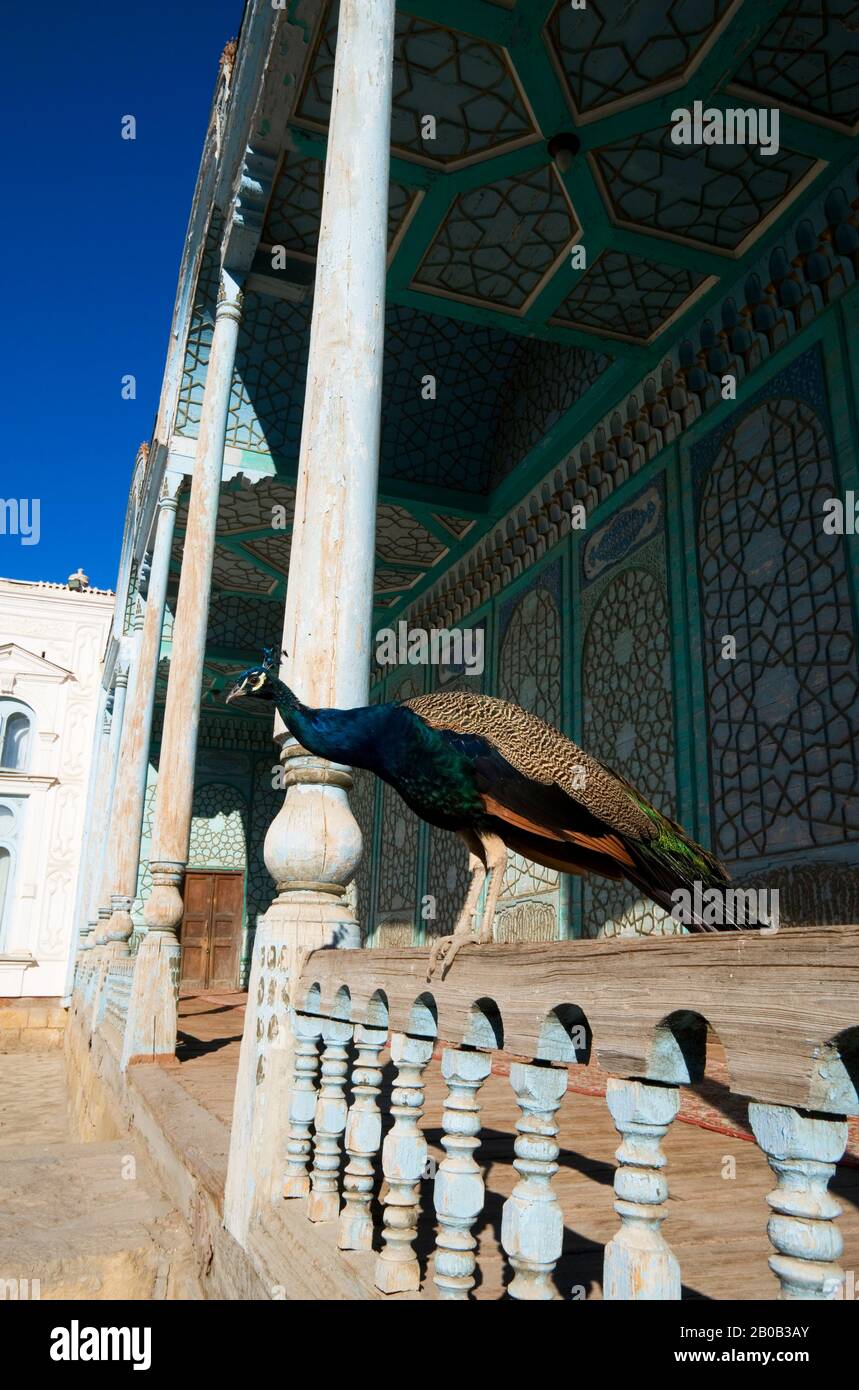 Sitorai mokhi khosa hi-res stock photography and images - Alamy
