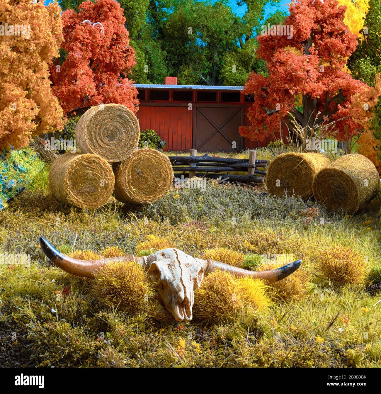 Longhorn Steer Skull in Grass with Barn Shed and Hay Bales Stock Photo ...