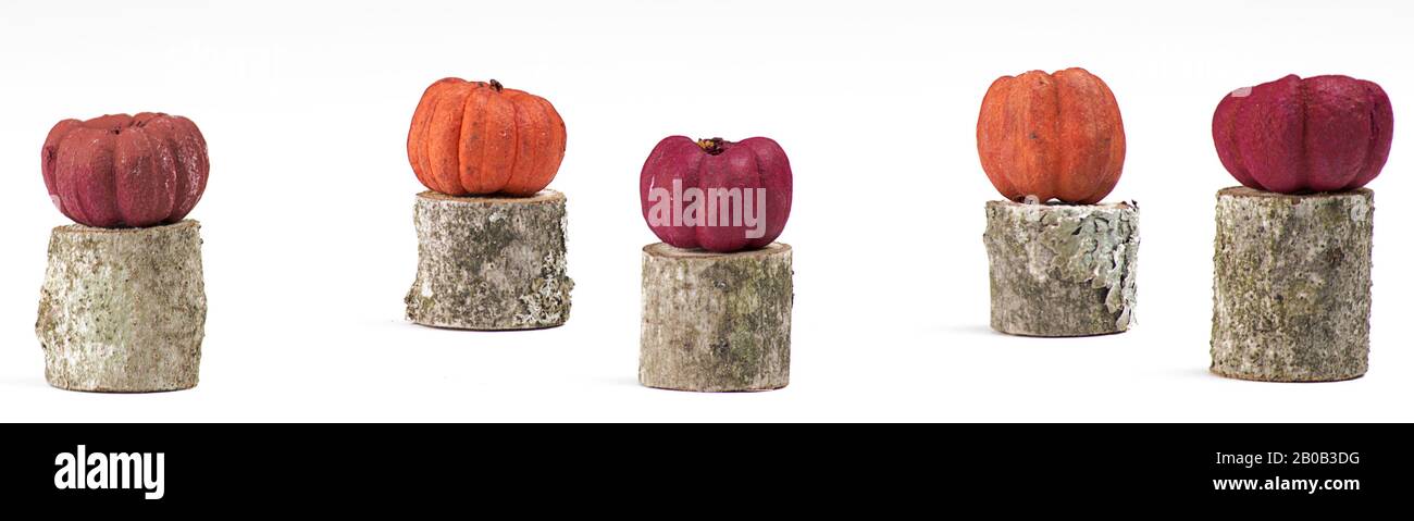 Tree patch Cut Out Stock Images & Pictures - Alamy