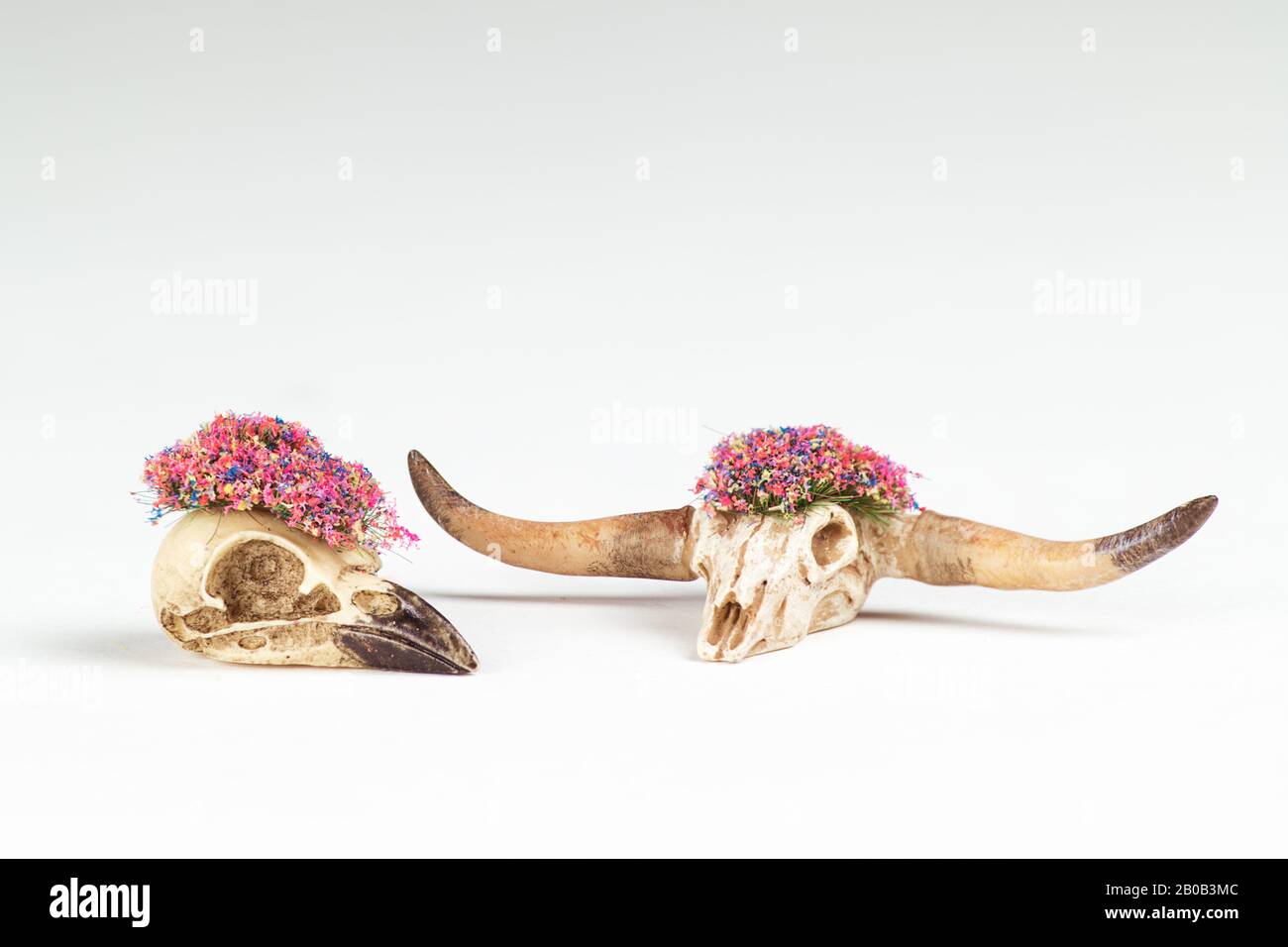 Crow & cow skull wearing flower headpiece Stock Photo - Alamy