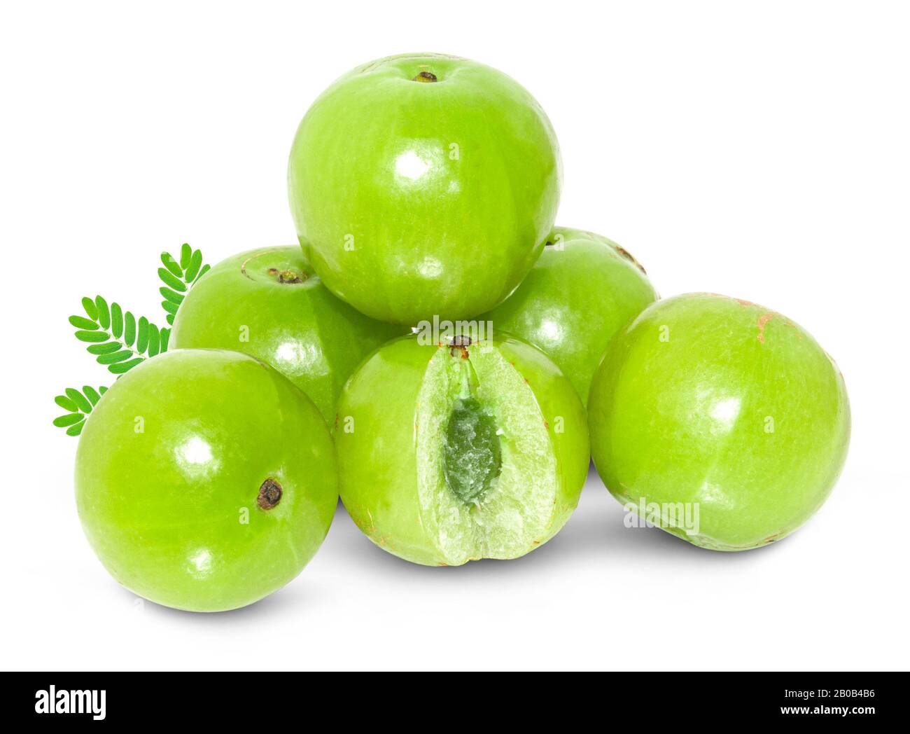 Amla green fruits ,Phyllanthus emblica isolated on white background ...