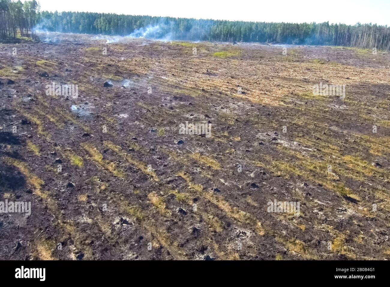 Forest fire, smoke of the surrounding area. smoke and fire Stock Photo ...