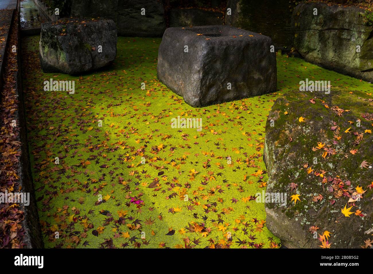 Verdure hi-res stock photography and images - Alamy