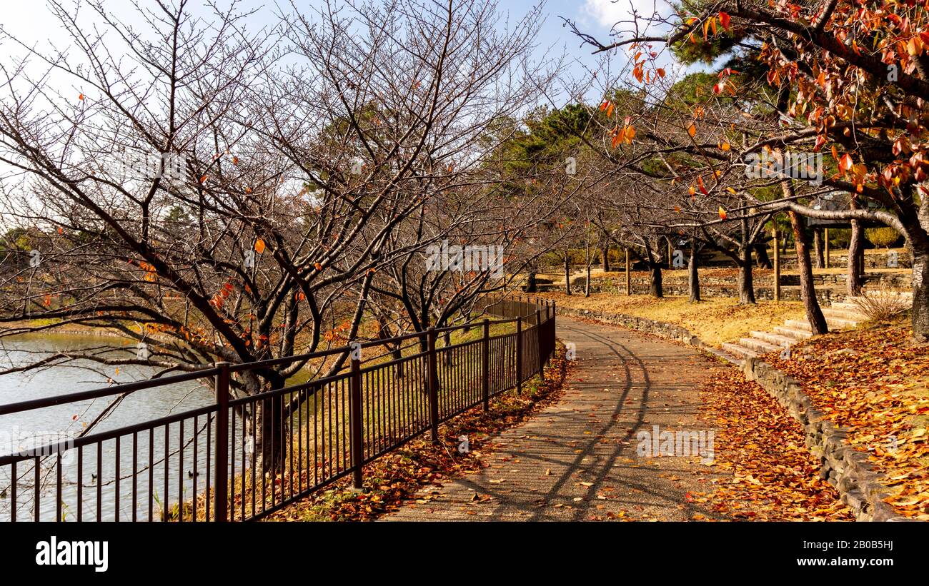 Tsurumi ryokuchi park hi-res stock photography and images - Alamy