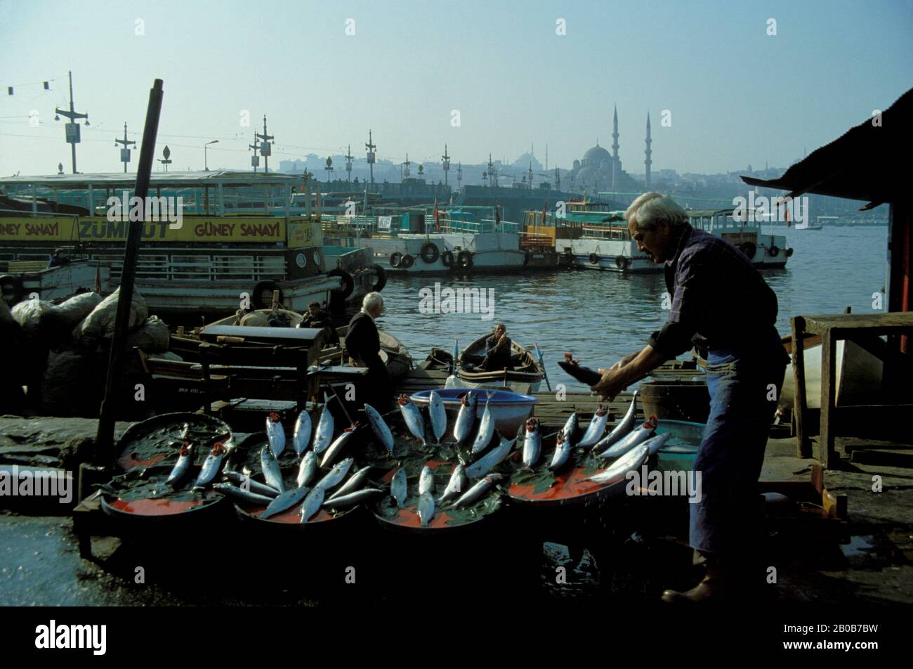 TURKEY, ISTANBUL, FISHERMEN WITH FRESH FISH Stock Photo - Alamy