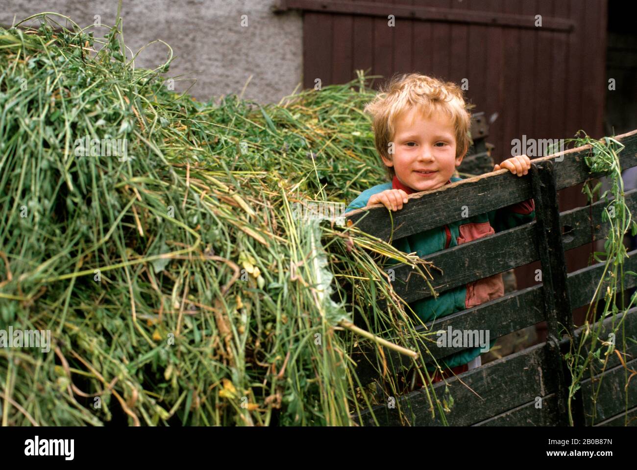 E.GERMANY, MORITZBURG NEAR DRESDEN, FARM BOY IN HAY WAGON Stock Photo ...