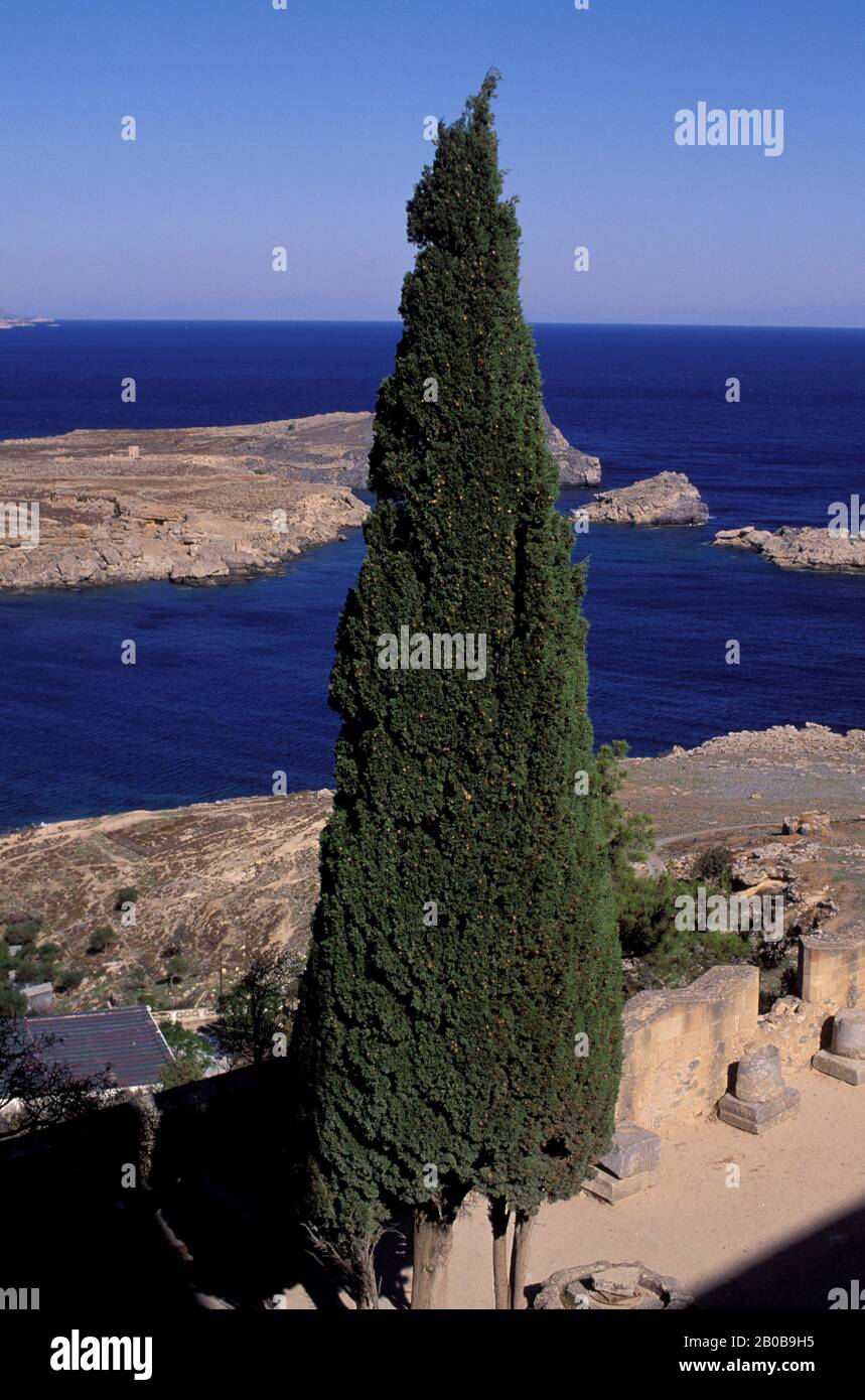 GREECE, RHODES, LINDOS, CYPRESS TREE Stock Photo - Alamy