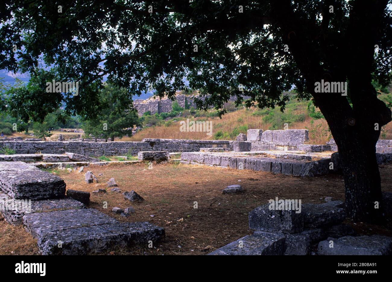GREECE, DODONA, OLDEST SITE OF ORACLE, APPEARANCE IN OAK TREE, BRONZE ...