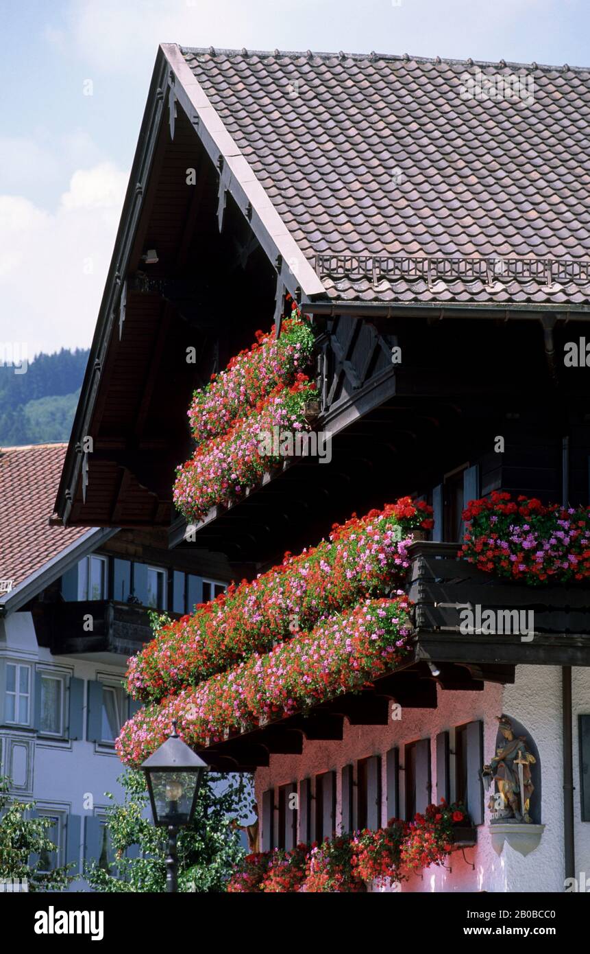 Bavarian geraniums hi-res stock photography and images - Alamy