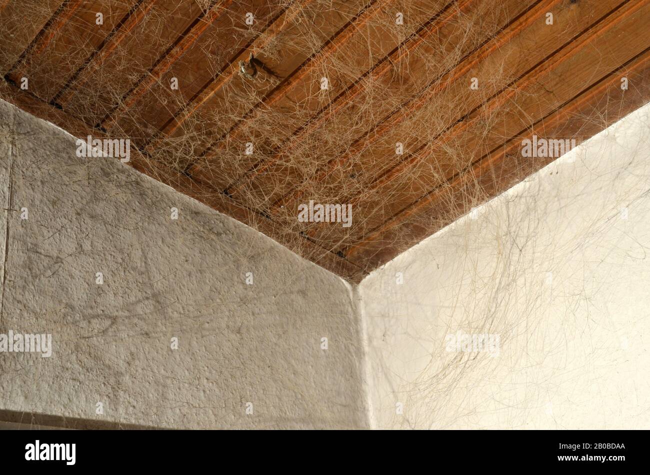 Ceiling cobweb hi-res stock photography and images - Alamy