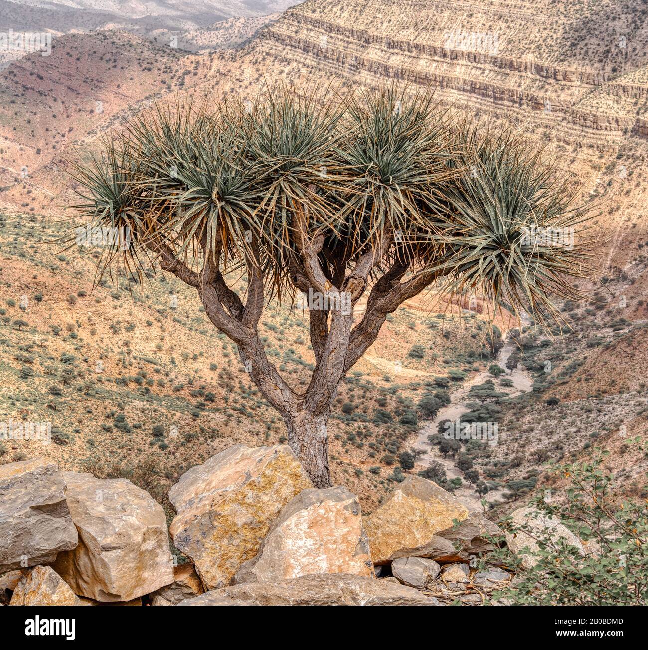 Beautiful highland landscape with valley. Afar region near city Mekelle ...