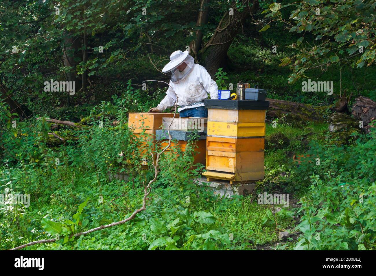 Beekeepers suit hi-res stock photography and images - Alamy