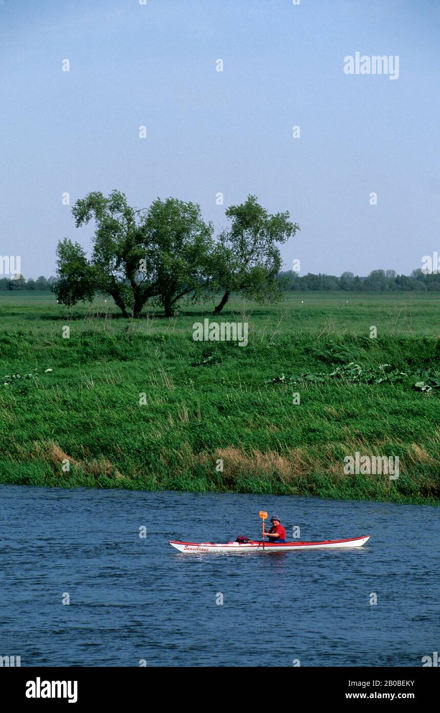 GERMANY, NEAR TORGAU, ELBE RIVER, MAN IN KAYAK Stock Photo - Alamy