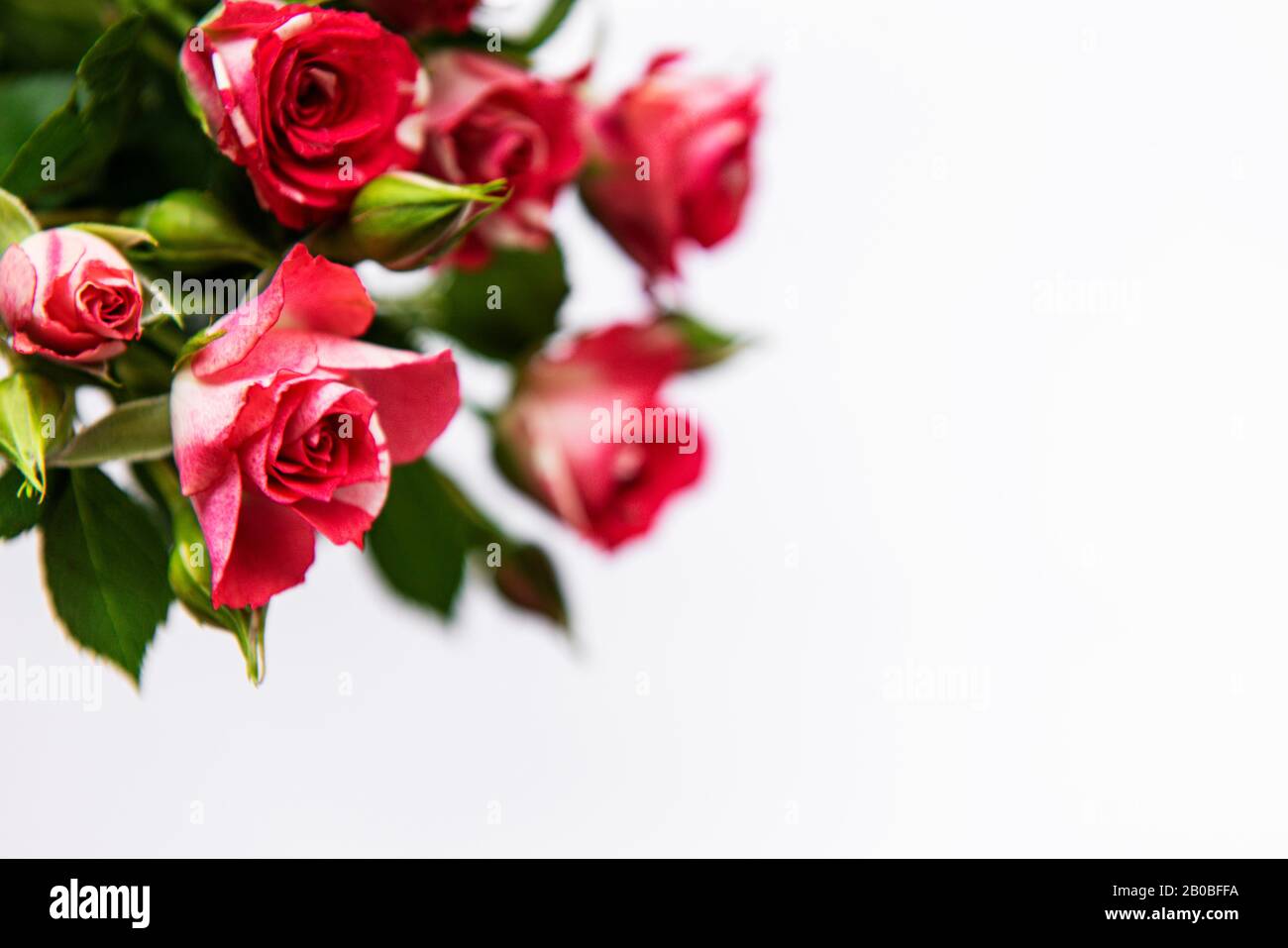 Red roses bouquet on white background Stock Photo - Alamy