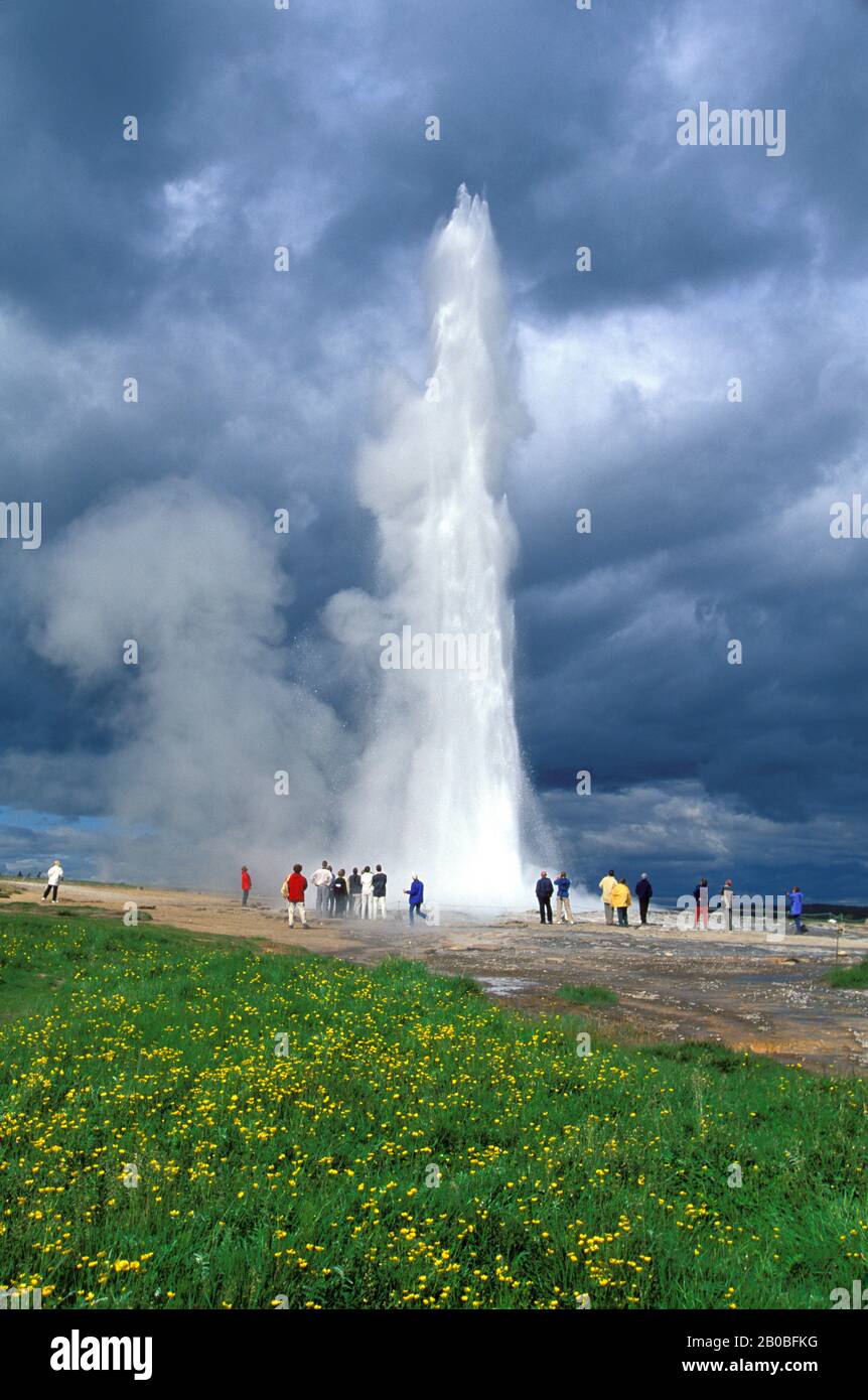 ICELAND, GOLDEN CIRCLE, GEYSIR (GEYSER) HOTSPRING AREA, GEYSIR ERUPTING ...