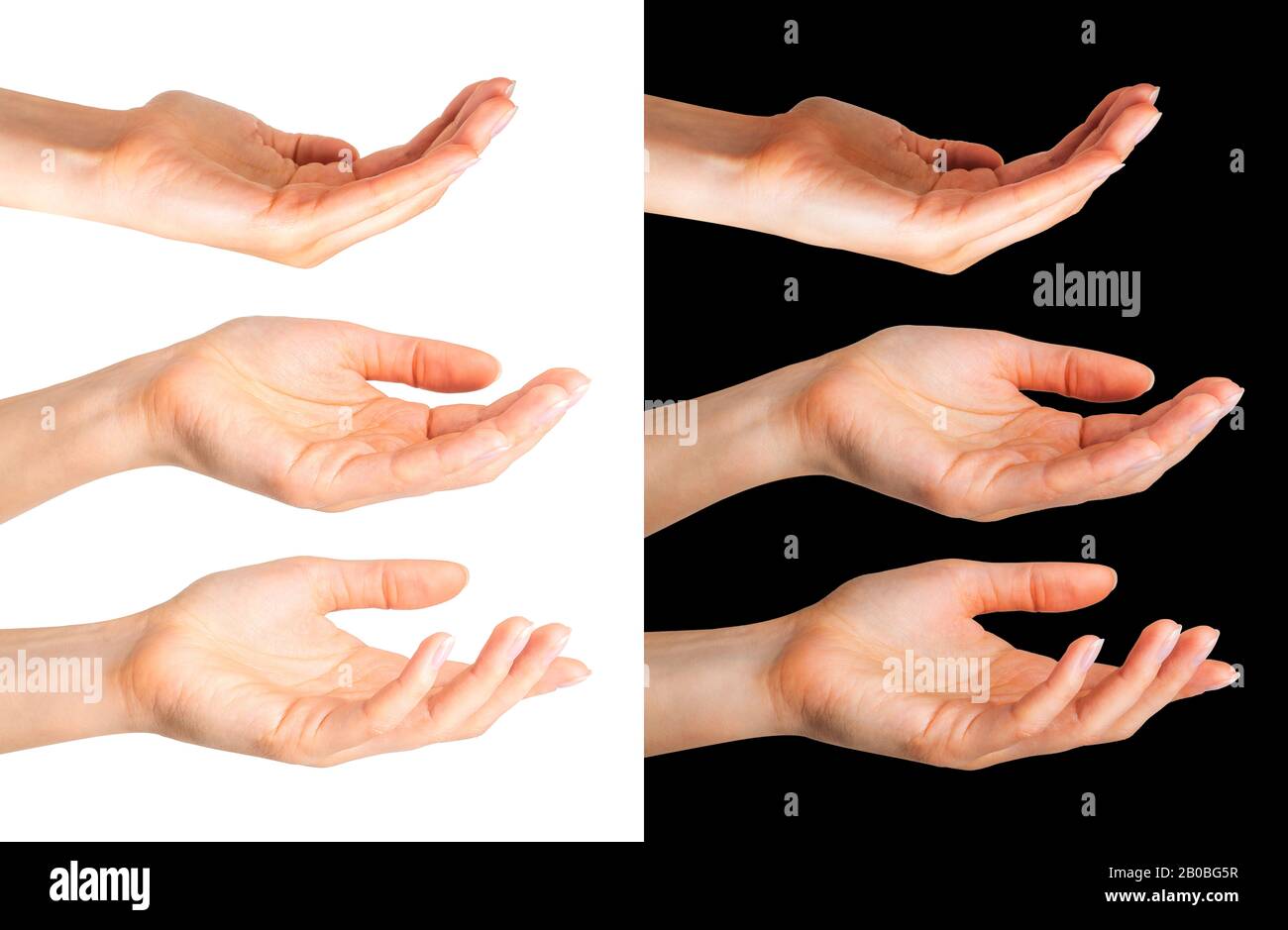 Set of women hands taking or showing something Stock Photo - Alamy