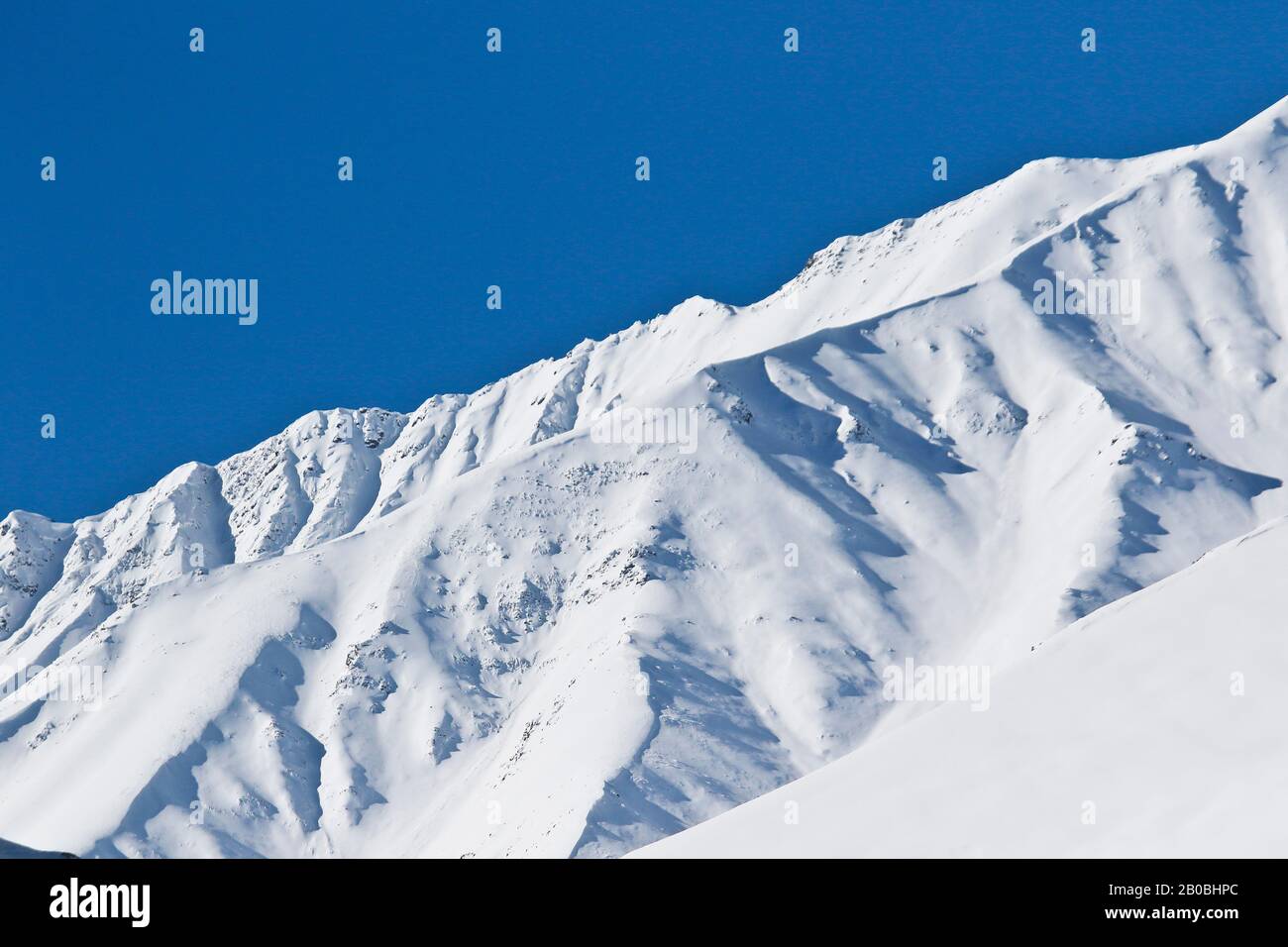 Rumbak valley. Hemis national park. Ladakh, Himalayas. India Stock ...