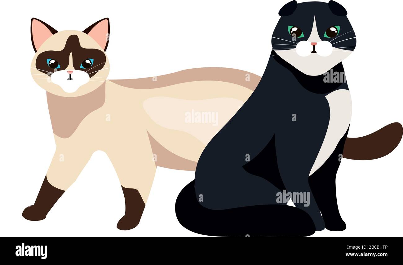 group of cats animals isolated icon Stock Vector Image & Art - Alamy