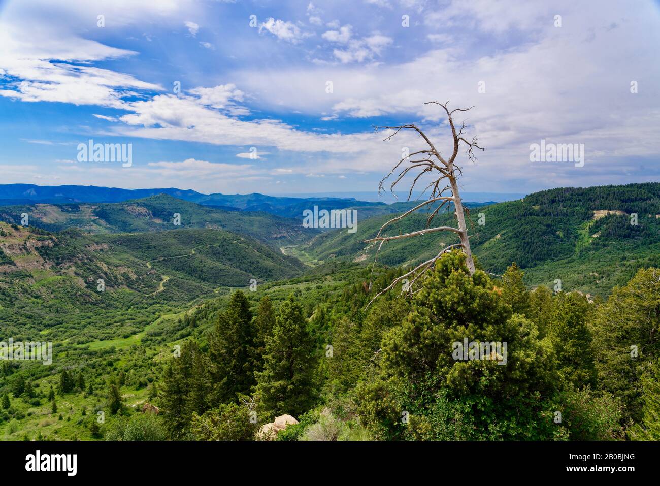 Douglas pass hi-res stock photography and images - Alamy
