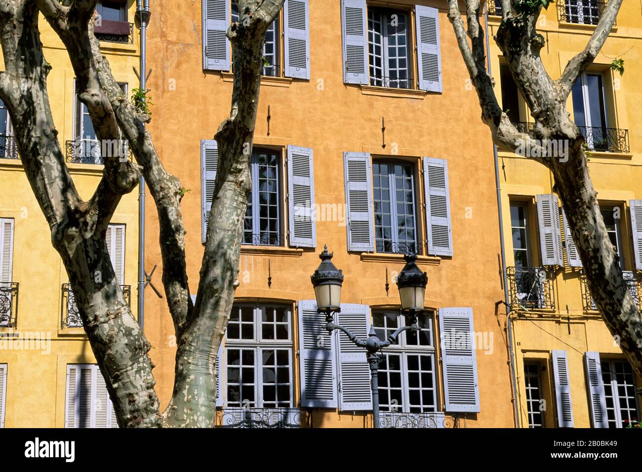FRANCE, AIX-EN-PROVENCE, STREET SCENE, HOUSES AND SYCAMORE TREES Stock ...