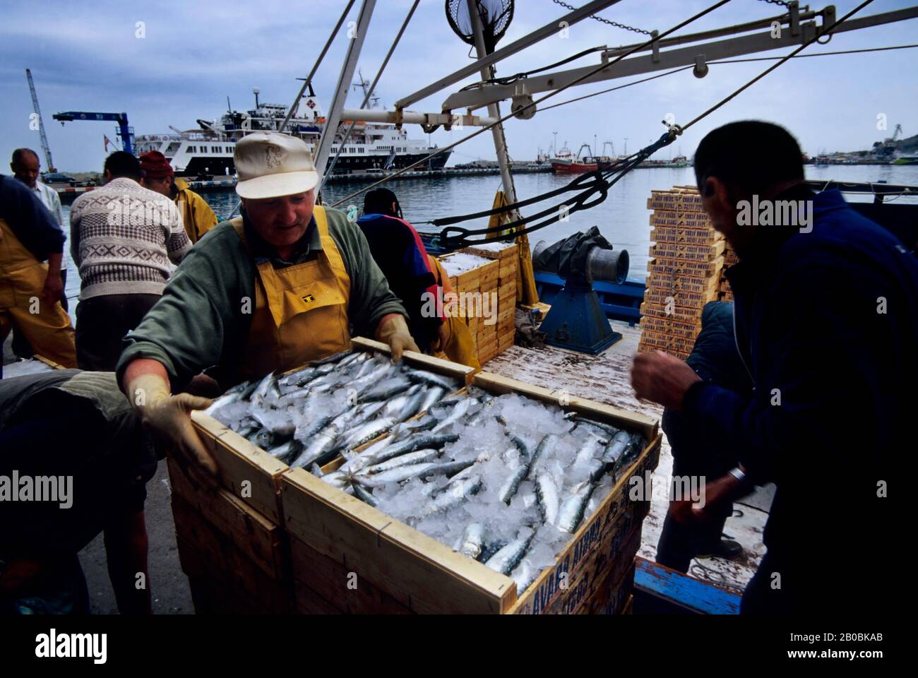 Sardines at port hi-res stock photography and images - Alamy