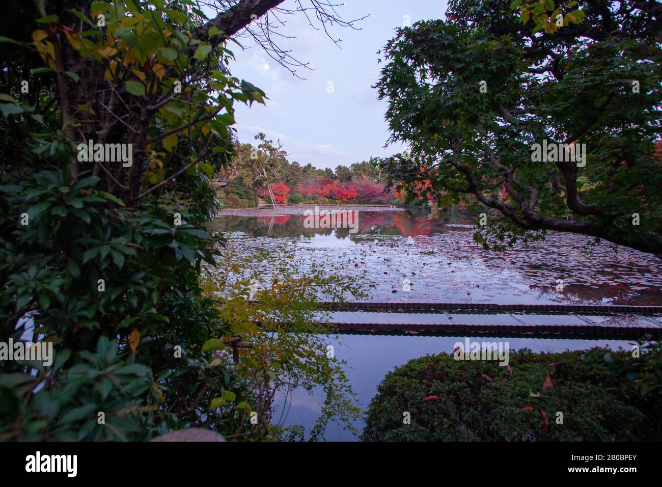 Japan, Kyoto, Ryoan-Ji Zen Buddhist temple, View of the dry rock garden ...