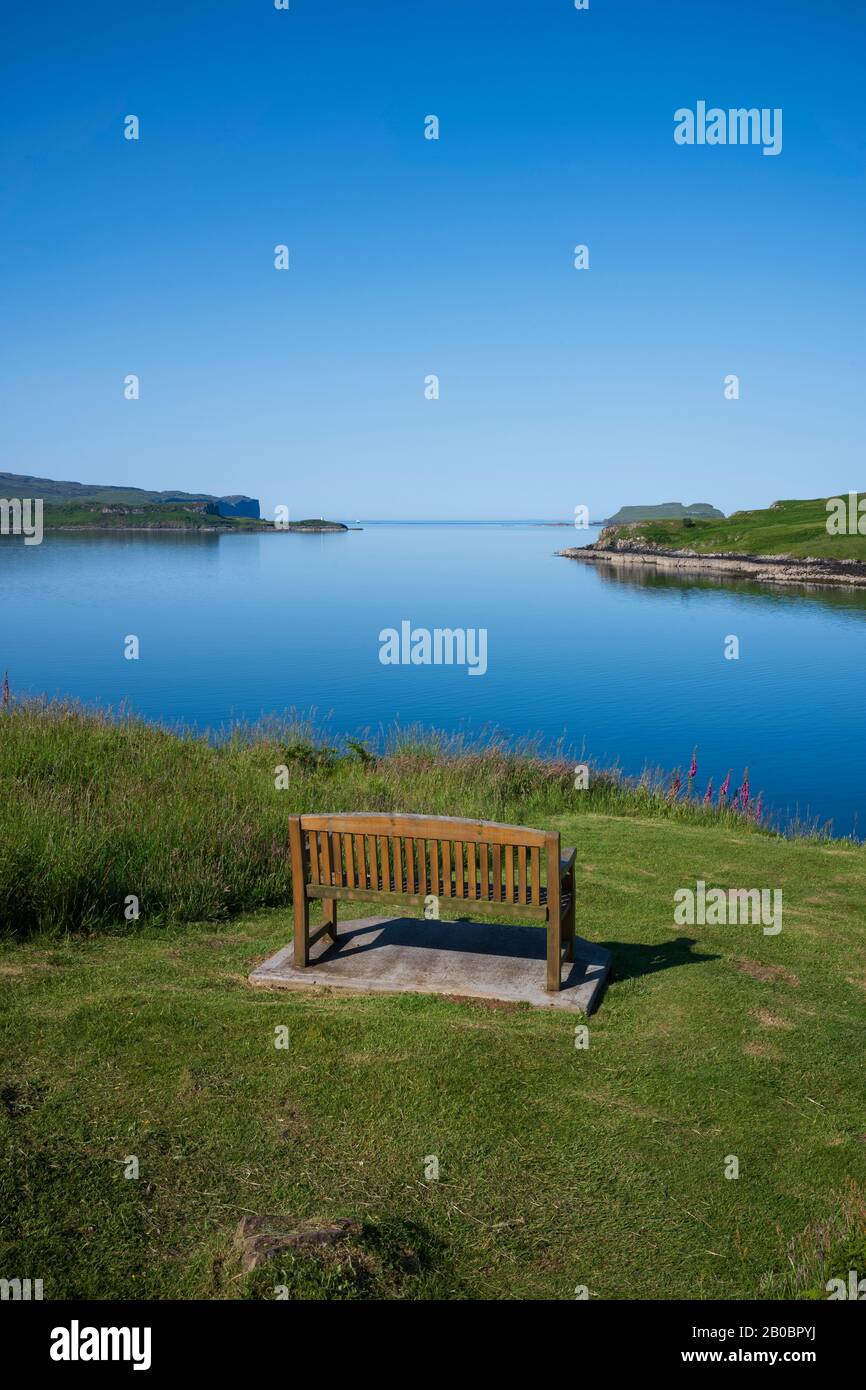 A bench overlooking a body of water, which is surrounded by grassy ...