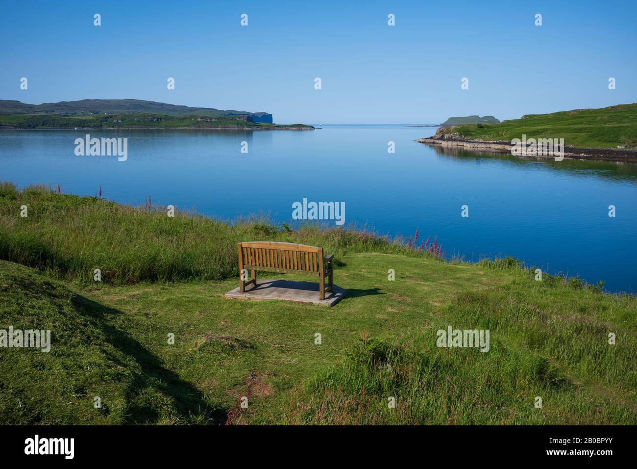 A bench overlooking a body of water, which is surrounded by grassy ...