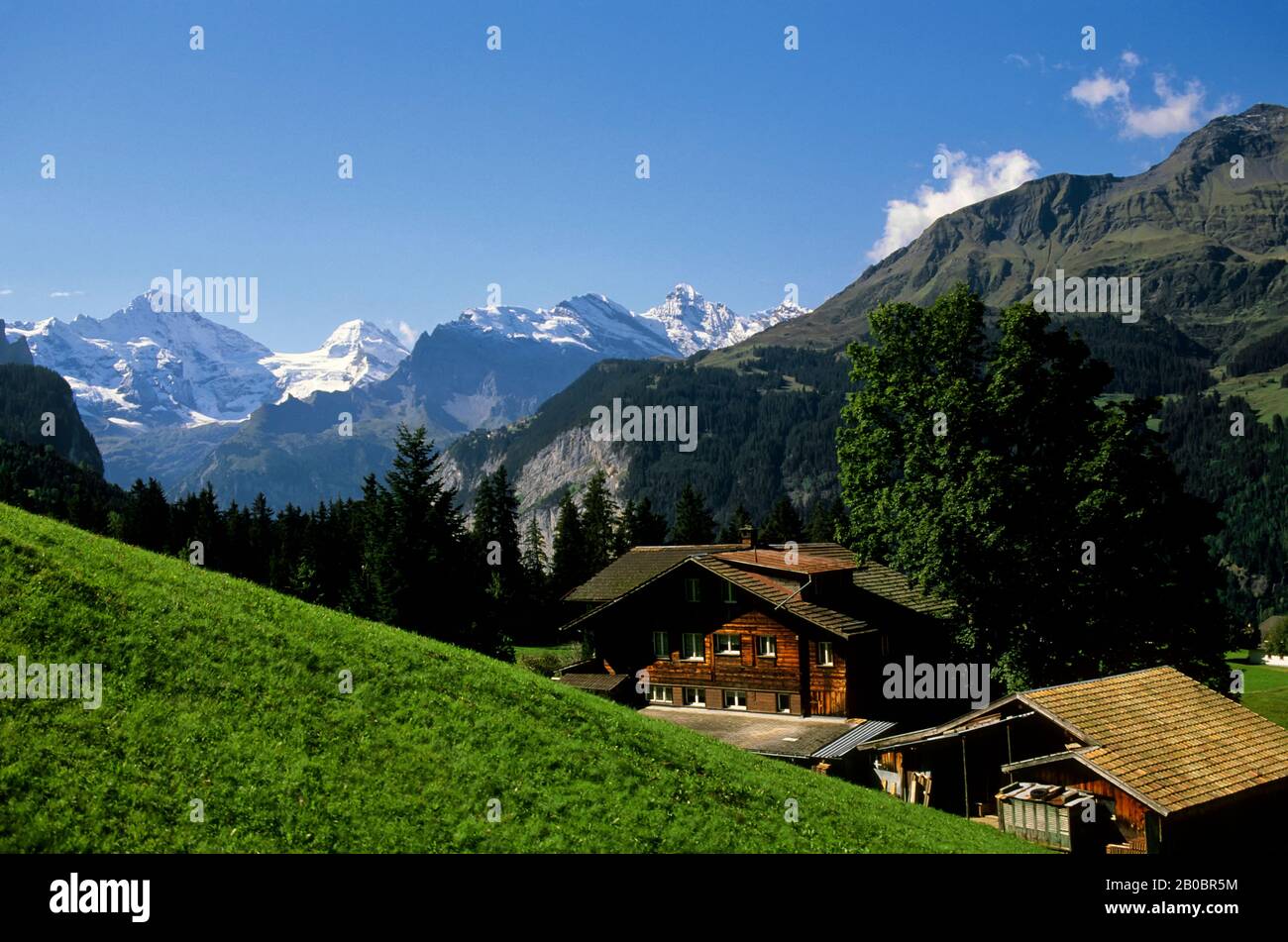SWITZERLAND, BERNESE OBERLAND, WENGEN, FARMHOUSE Stock Photo - Alamy