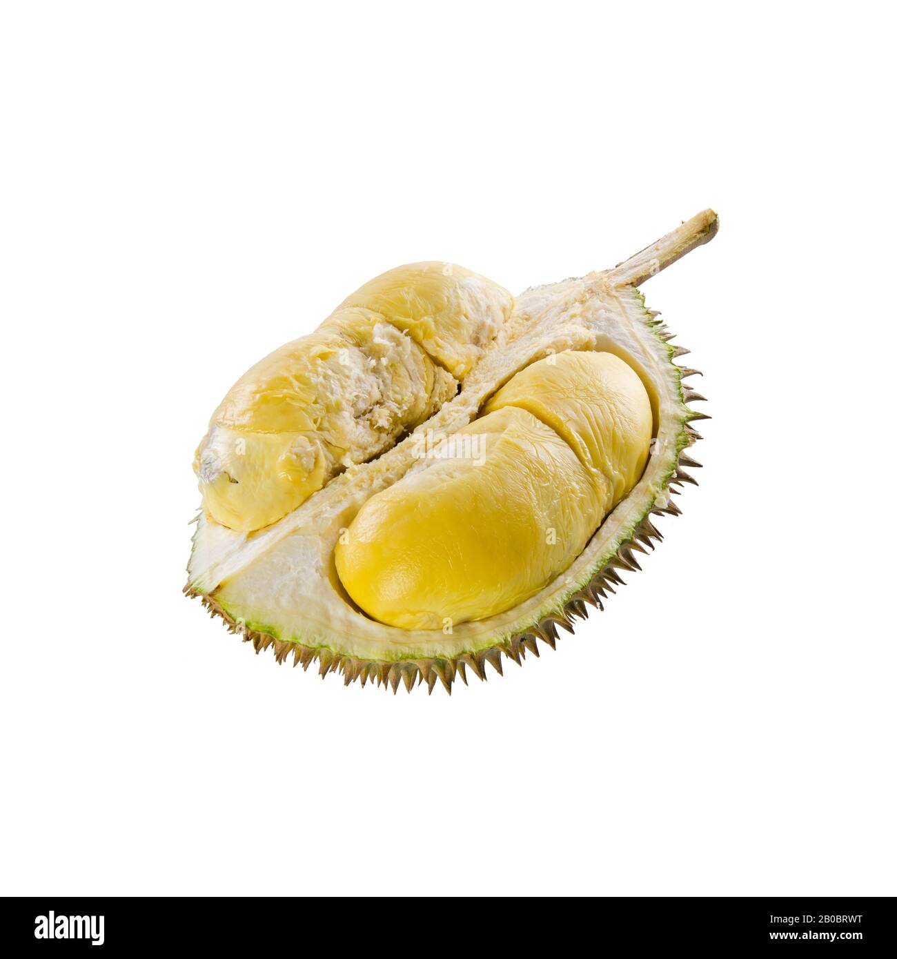 Durian design Cut Out Stock Images & Pictures - Alamy