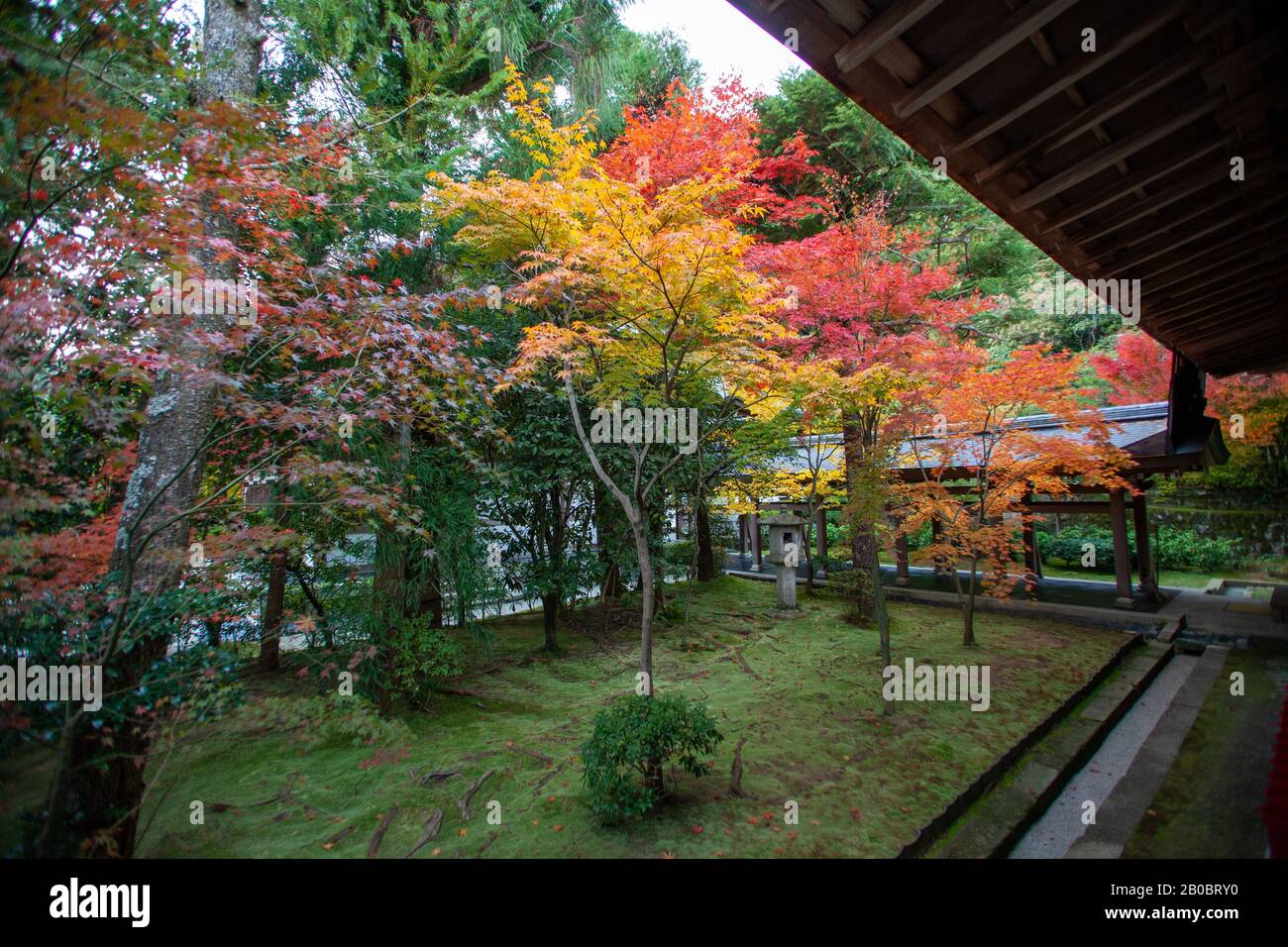 Japan, Kyoto, Ryoan-Ji Zen Buddhist temple, View of the dry rock garden ...
