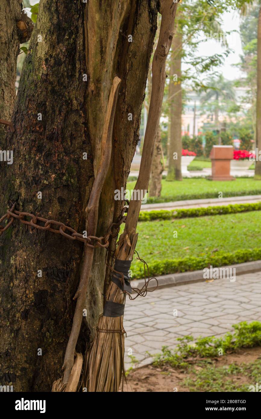 Jungle broom hi-res stock photography and images - Alamy