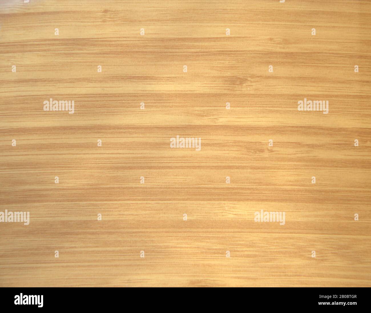 Polished surface of drill beech, natural drawing of wood on a cut close ...