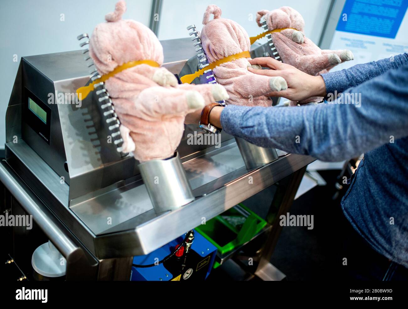 Animal castration hi-res stock photography and images - Alamy