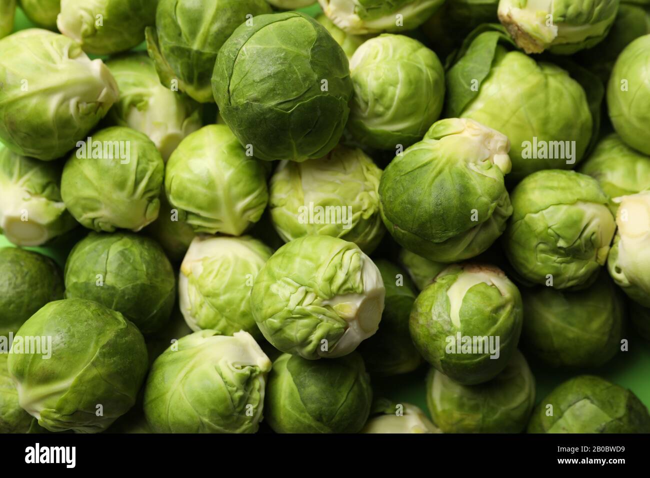 Fresh green brussels sprout texture background, close up Stock Photo ...