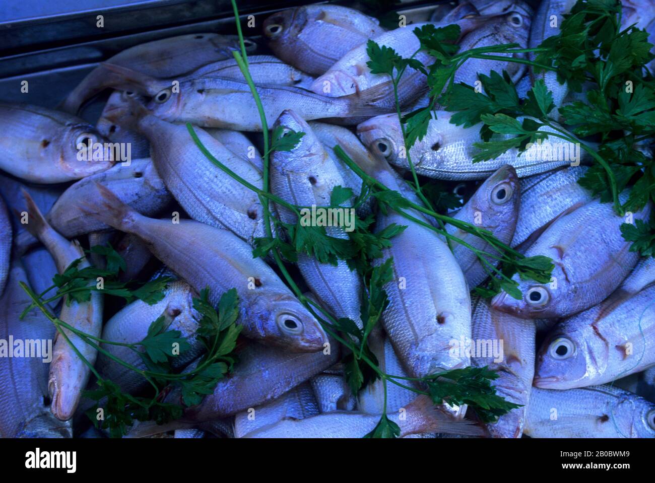 MALTA, VALLETTA, MARSAXLOKK, FISHING HARBOUR, MARKET, FRESH FISH Stock ...