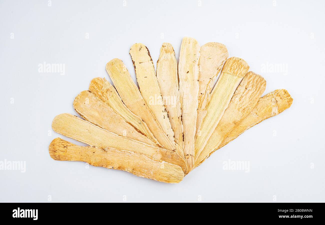 Astragalus membranaceus hi-res stock photography and images - Alamy